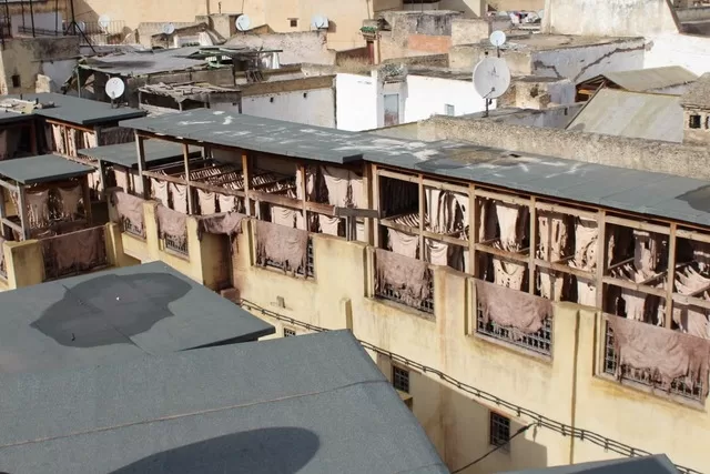 Ultimate Guide to Visiting Fez, Morocco - Adventures of An Average Jo