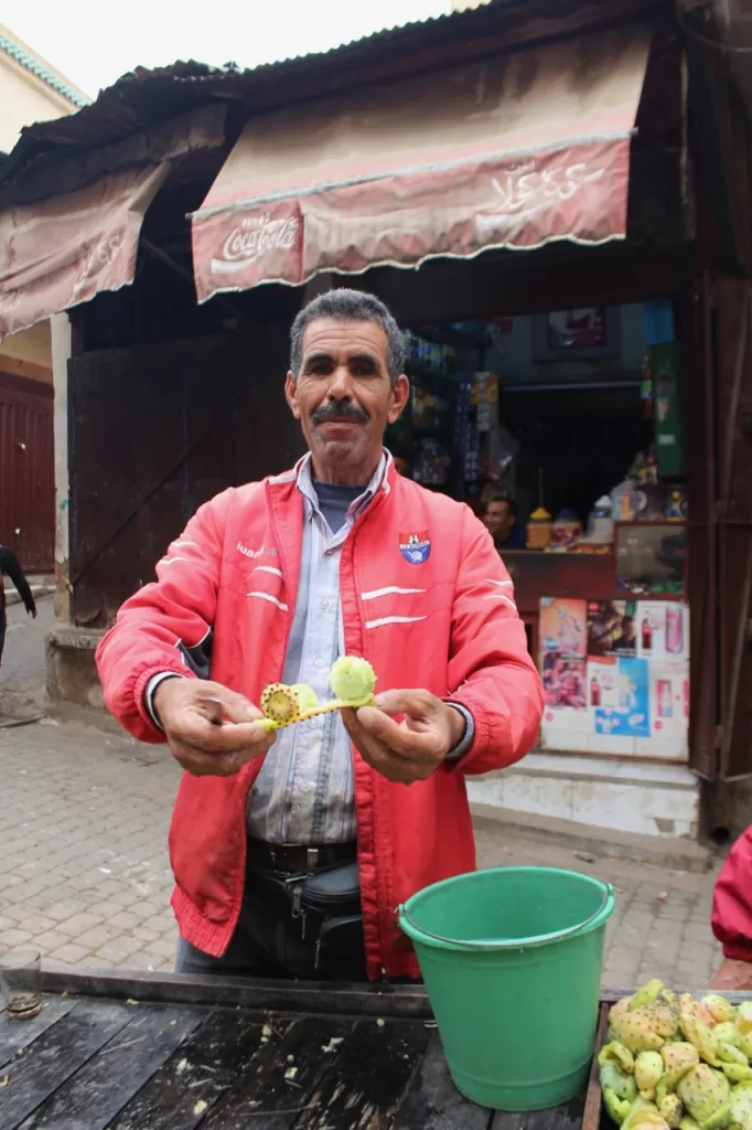 Ultimate Guide to Visiting Fez, Morocco - Adventures of An Average Jo