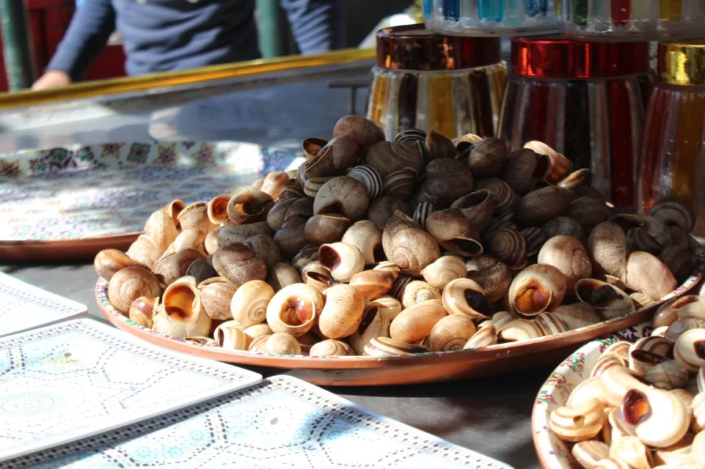 Ultimate Guide to Visiting Fez, Morocco - Adventures of An Average Jo